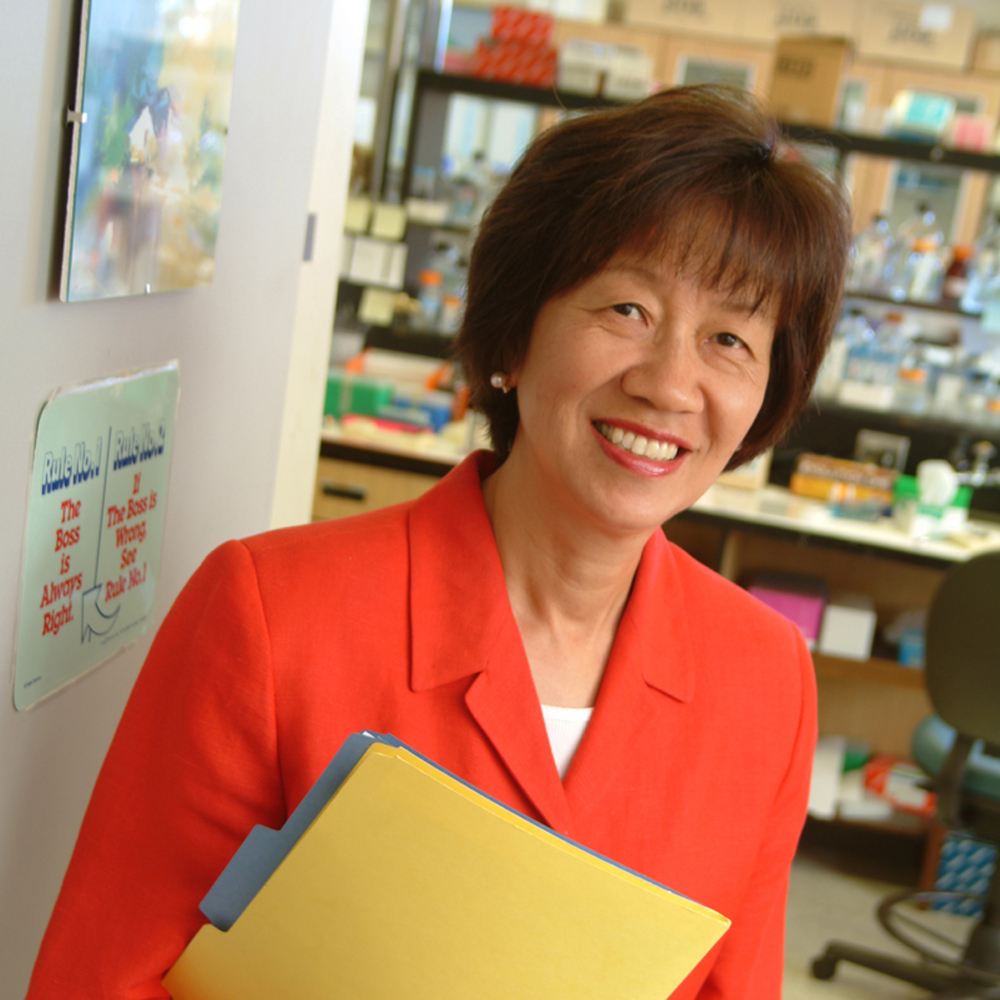 Faculty Spotlight: Amy S. Lee - USC Stem Cell