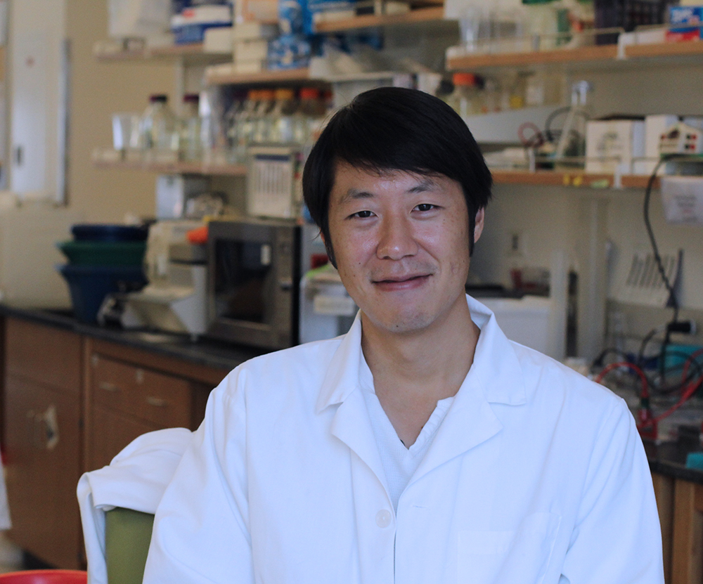 Postdoctoral fellow Albert Kim receives first Hearst Fellowship - USC ...