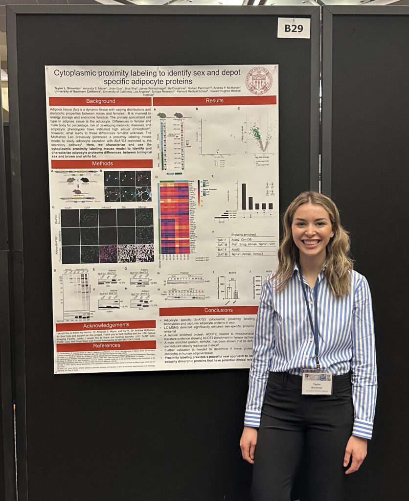 Three USC Stem Cell undergraduates expand their horizons, thanks to ...