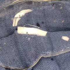 Zara Abrams - USC Stem Cell